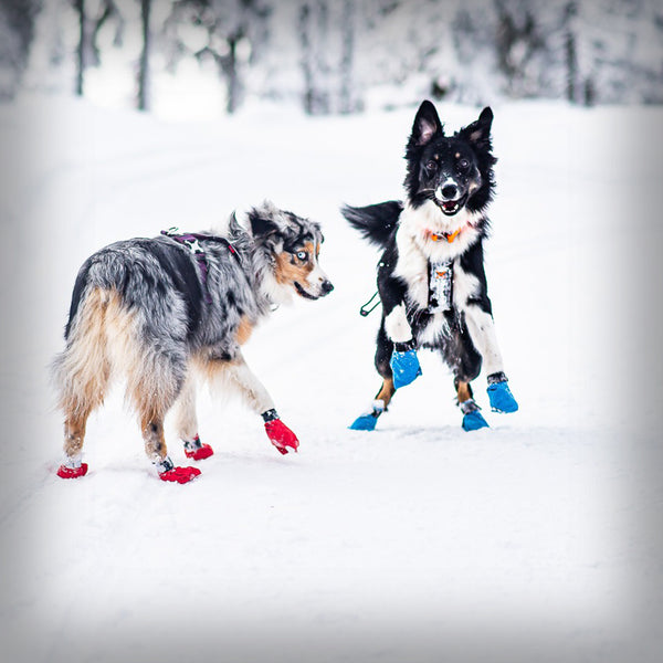 LONG DISTANCE BOOTIES – SCOOTERSPORT