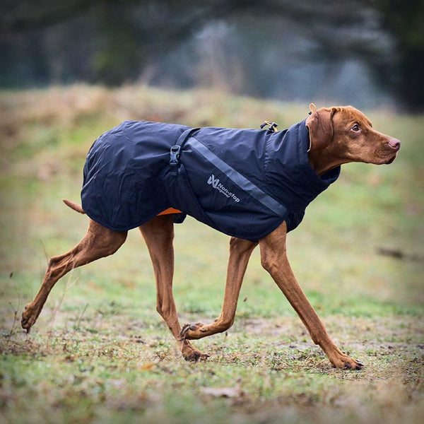 NON-STOP TREKKING INSULATED DOG JACKET – SCOOTERSPORT