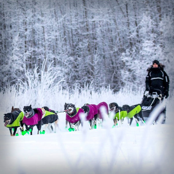 SNOWMAX BOOTIES – SCOOTERSPORT